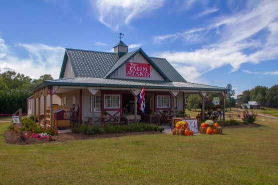 Calvert County Pumpkin Patches: Family Traditions | Your Calvert