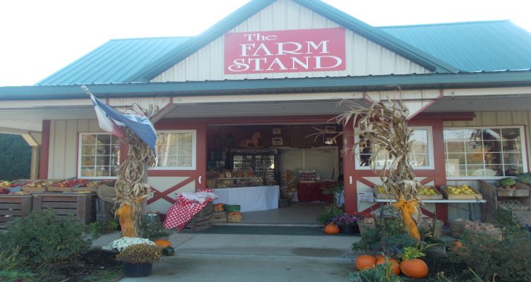 Spider Hall Farm: Fun & Educational | Your Calvert
